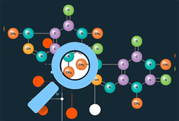 Biochemical Analysis Assay Kit