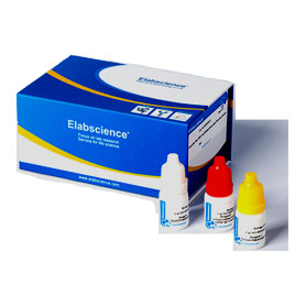 Lifesciences Laboratory Research Kits, Reagents, Biochemicals in India ...