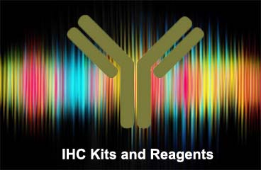 Immunohistochemistry (IHC) Kits